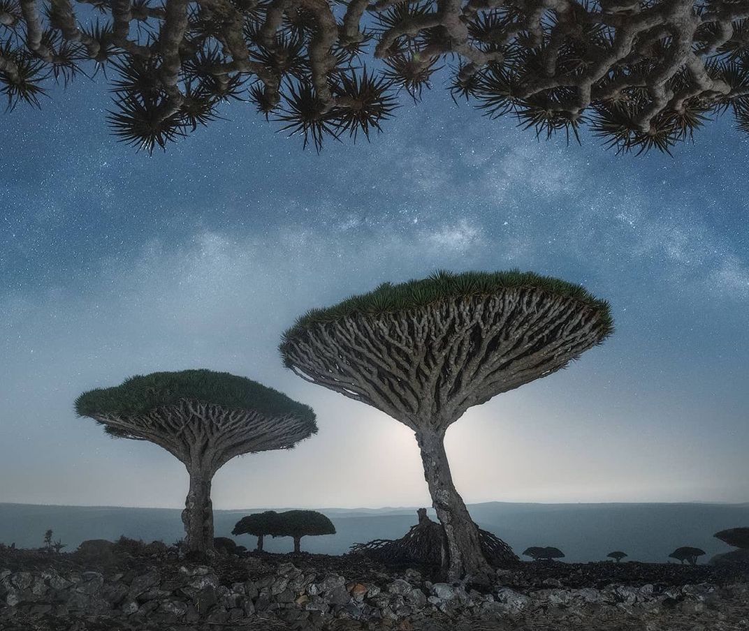 Discover the Mysterious and Absolutely Beautiful Socotra Island ...